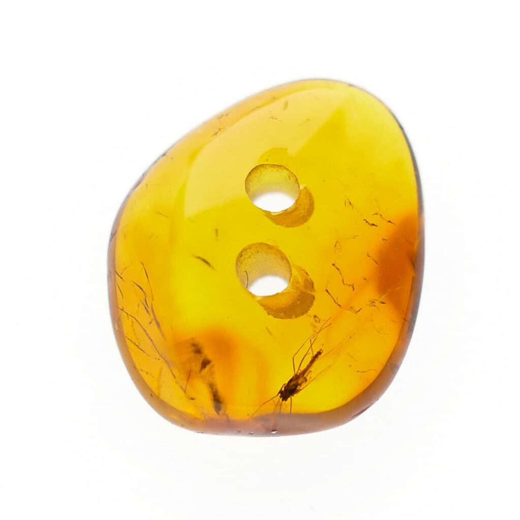 Buy loose amber beads ∙ Baltic amber beads, stones, clasps in bulk for ...